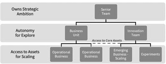 What is an ambidextrous organization? ~ Strategic Innovation Advisors ...